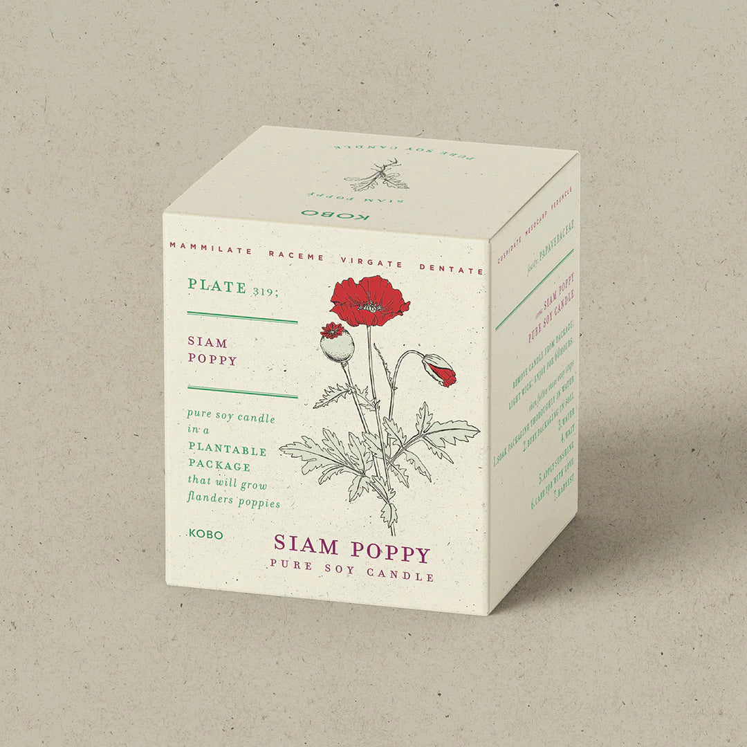 Siam Poppy Plant the Box Candle 9oz – Madison Paul